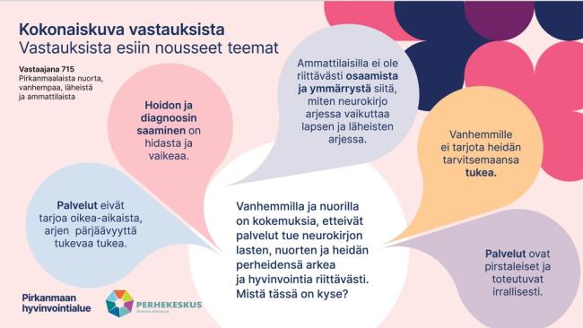 Nepsy-työn keskeiset haasteet ja ratkaisumahdollisuudet ...